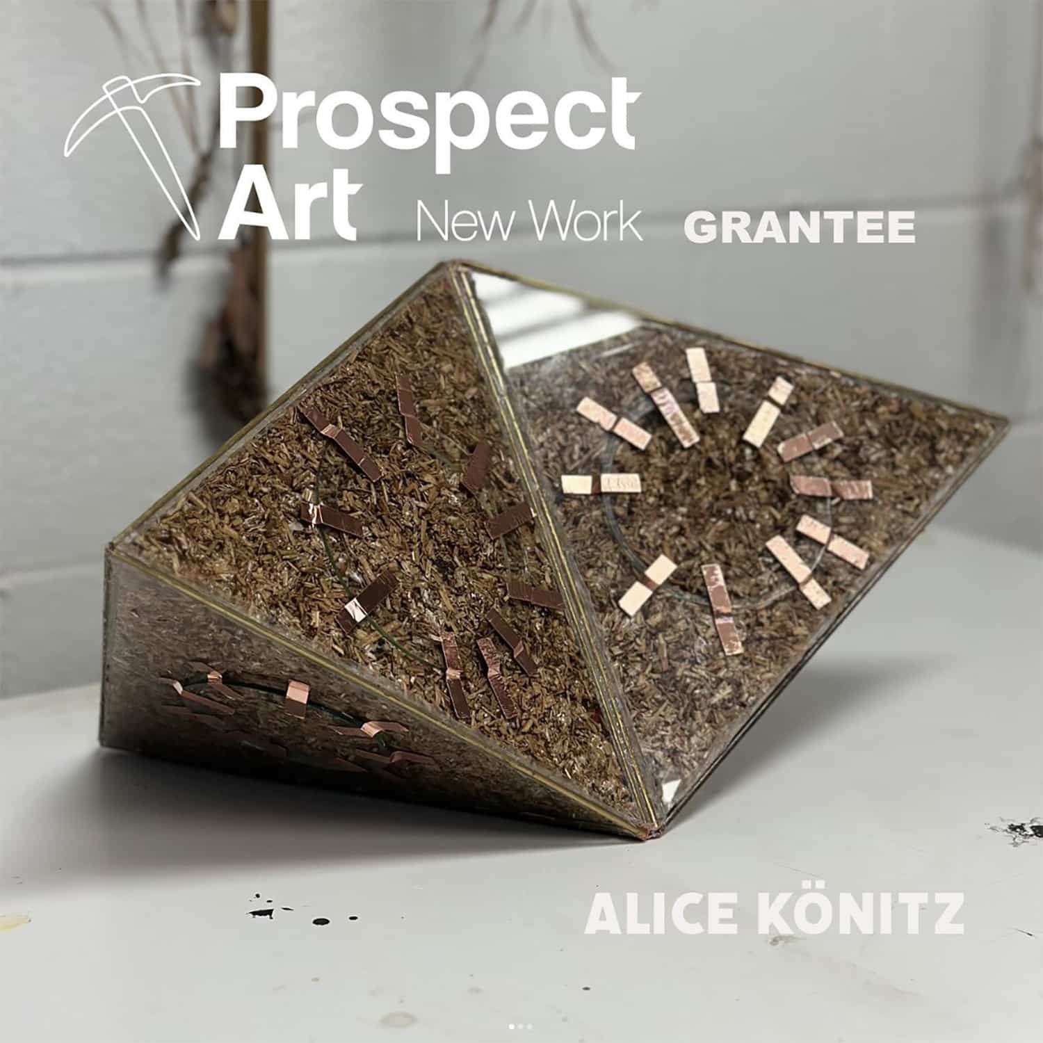 A Study in Symbiosis: Fungus Garden by Alice Könitz at Lazy Eye Gallery ...